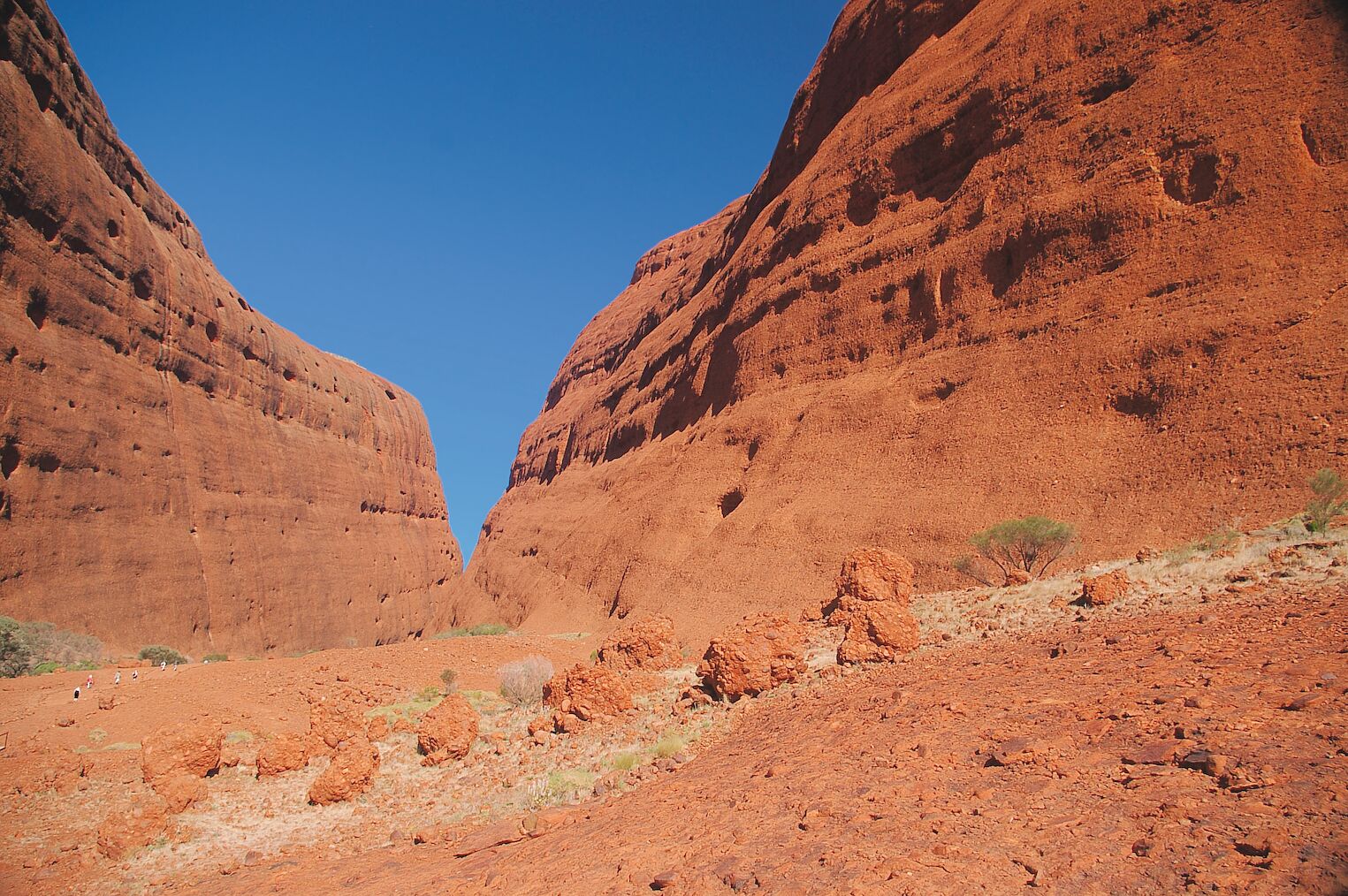 L'Australie, de terres ocres en forêts bleues | Arts et Vie